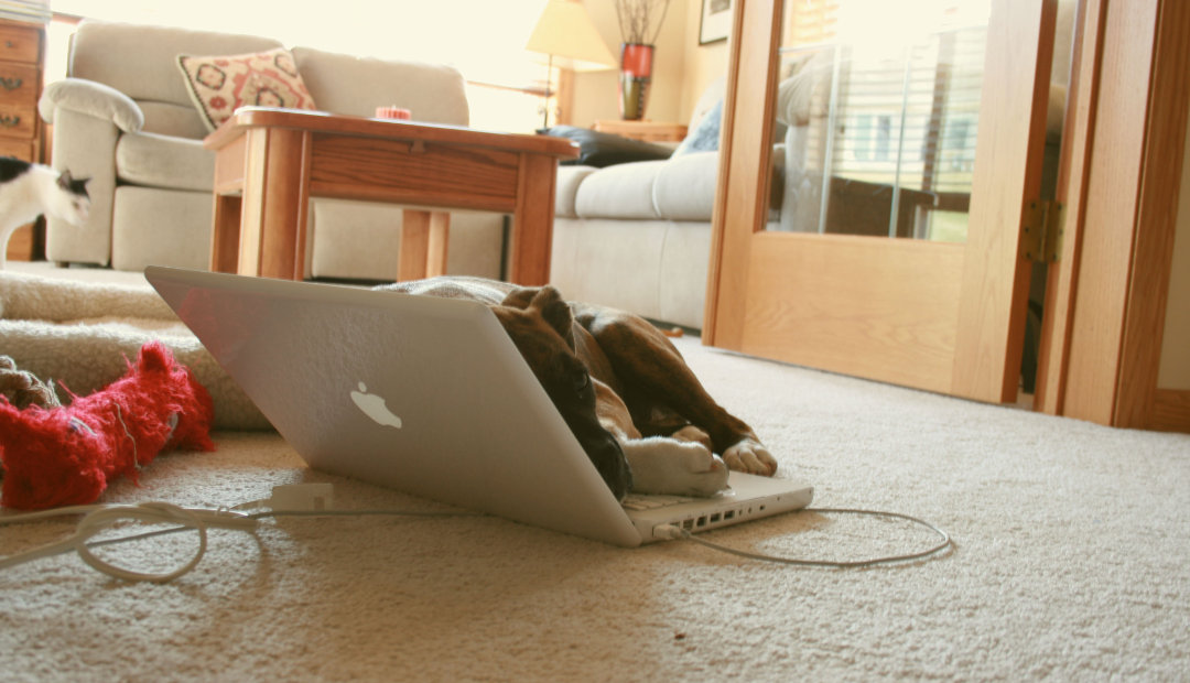 Office-Slacker Science: How to Avoid Getting Caught by the Boss - Biz Epic