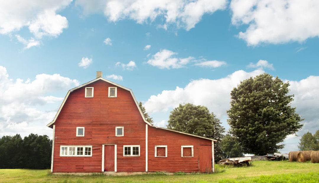 7 Great Tips For Getting Your Farming Business Started - Biz Epic